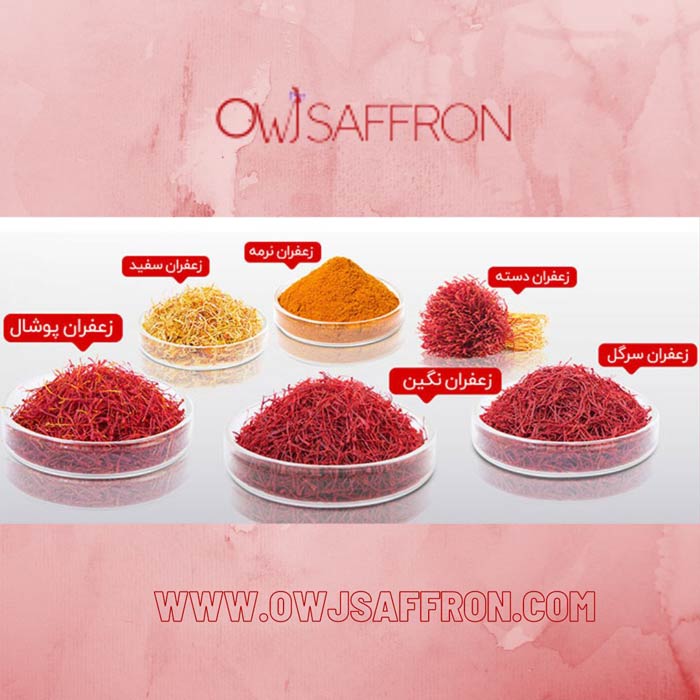 Iranian saffron supplier - best iranian saffron brand | Owj Saffron
